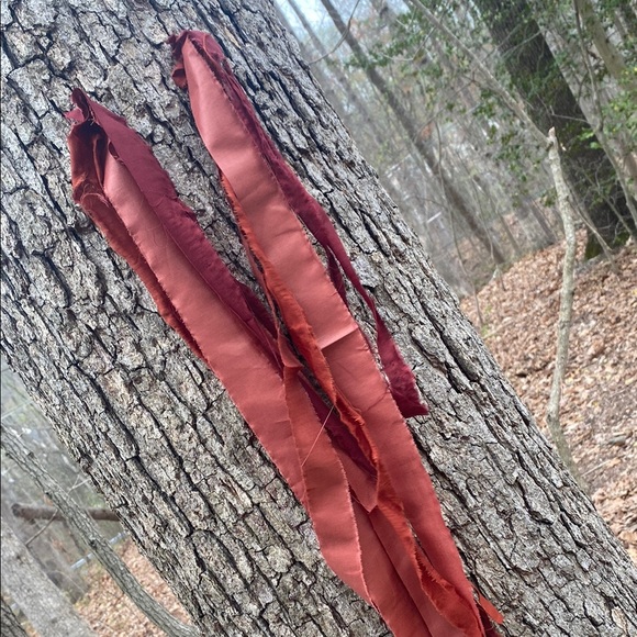 Jewelry | Radiant Red Dangle Earrings | Poshmark
